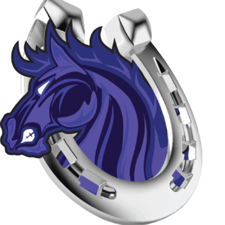 Bronchos compete at 4A state meet – West Metro Sports